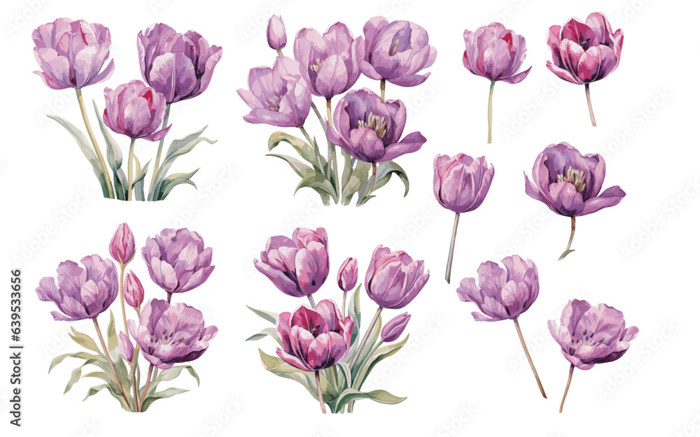 watercolor purple tulip clipart for graphic resources Stock Vector | Adobe Stock
