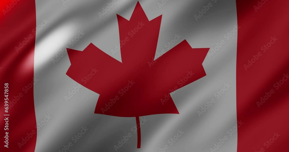 Canadian flag waving banner animated video,3D Realistic Canada Flag ...