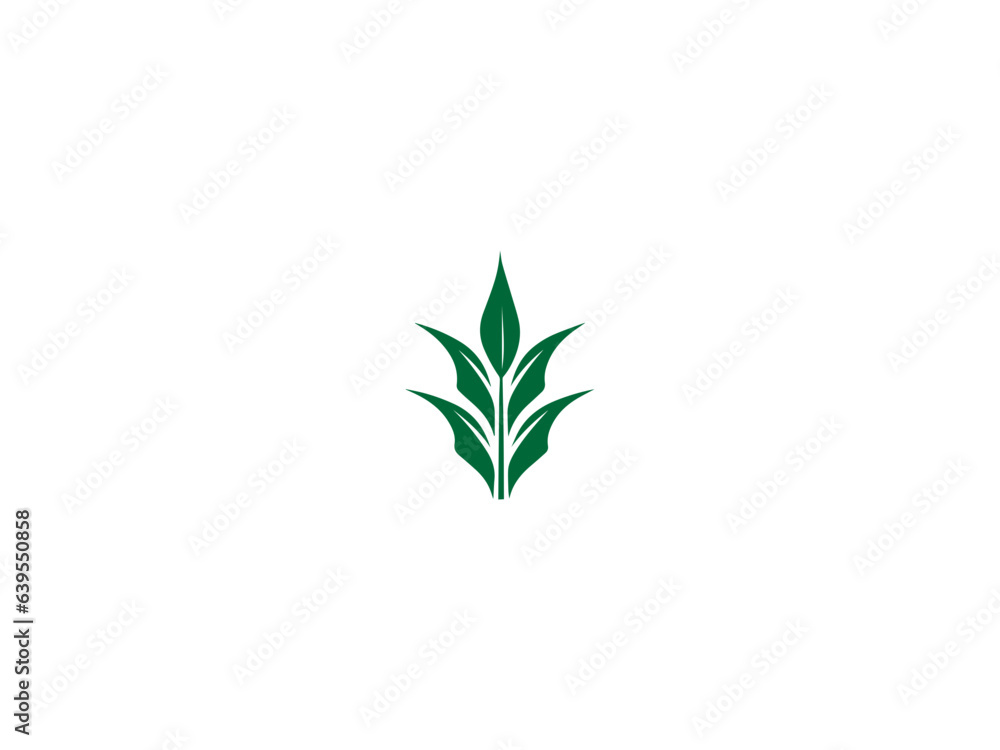 premium corn plant logo vector, vector and illustration, Stock Vector ...