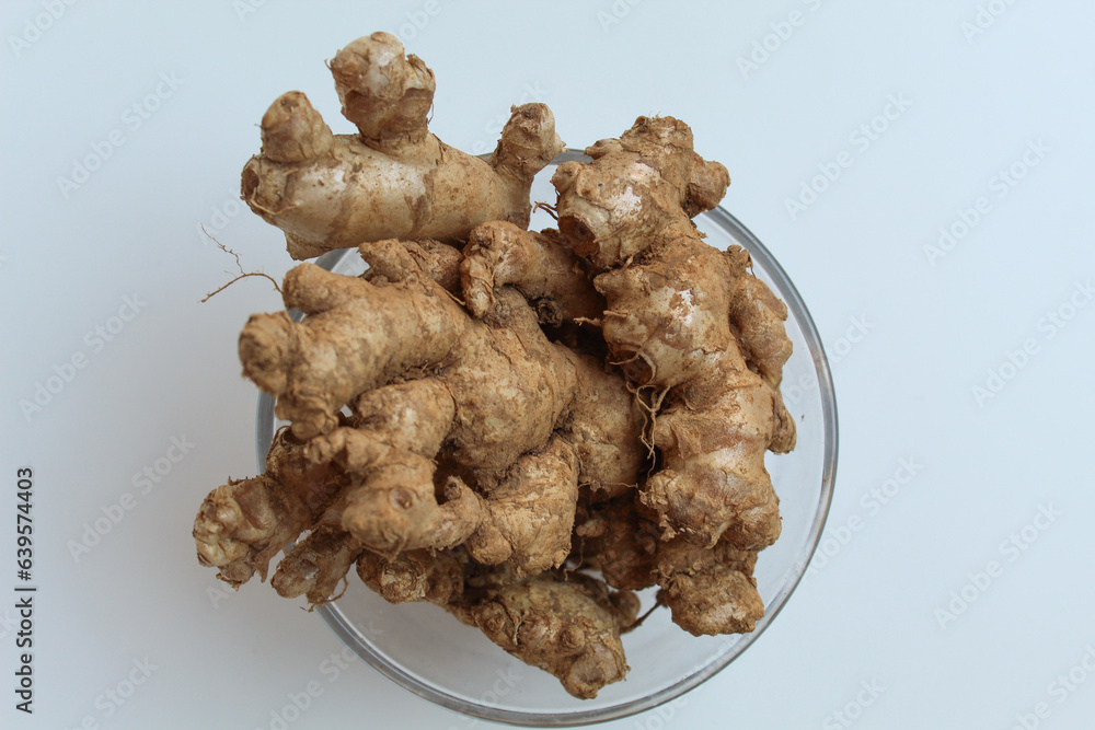 Zingiber officinale rhizome or ground ginger root, inside a transparent ...