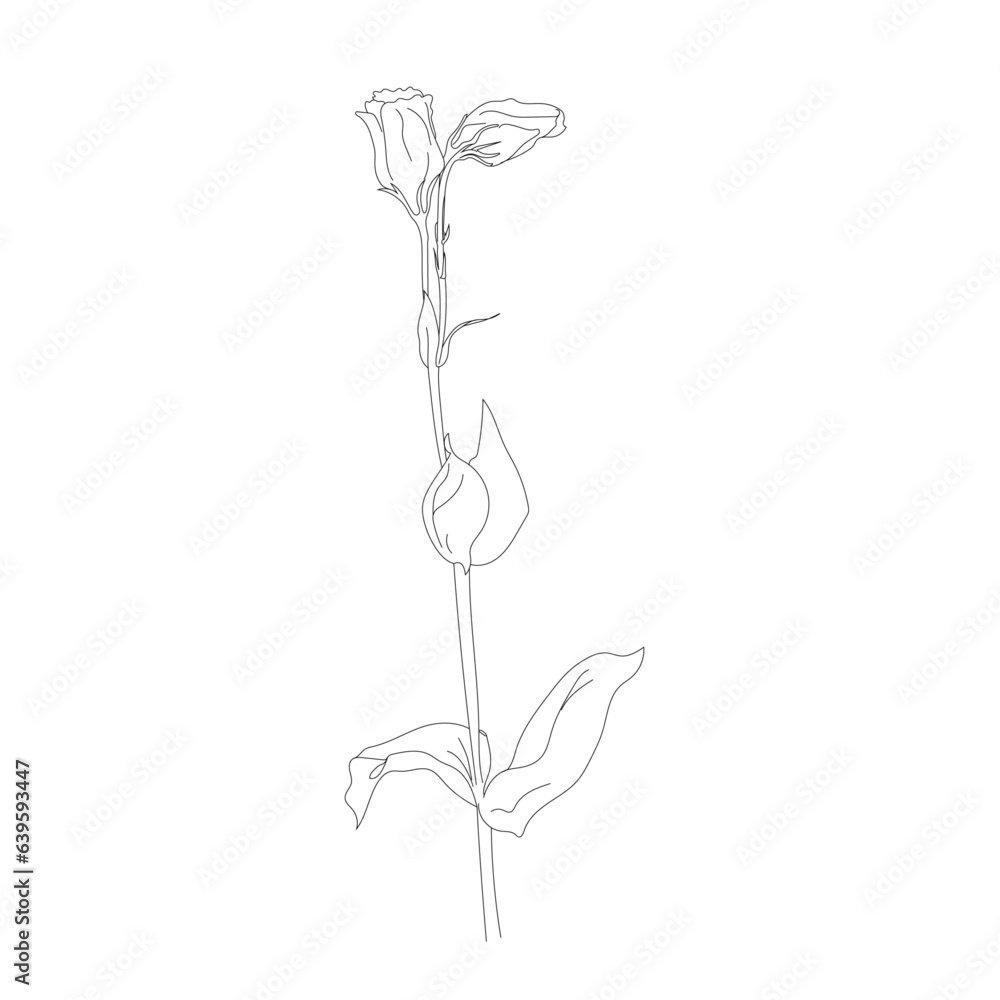 Wild flower outline drawing. Vector plant illustration Stock Vector ...