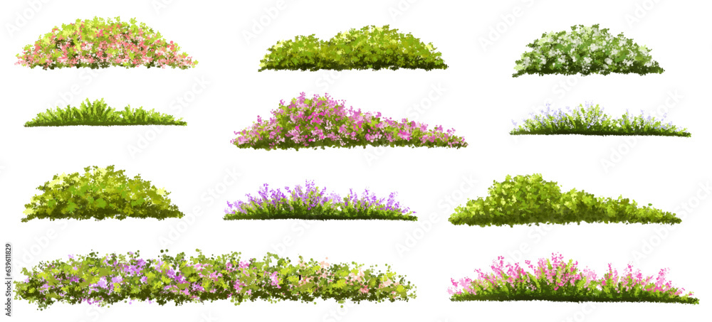 Vector of green grass or shrub isolated on white background,tree ...