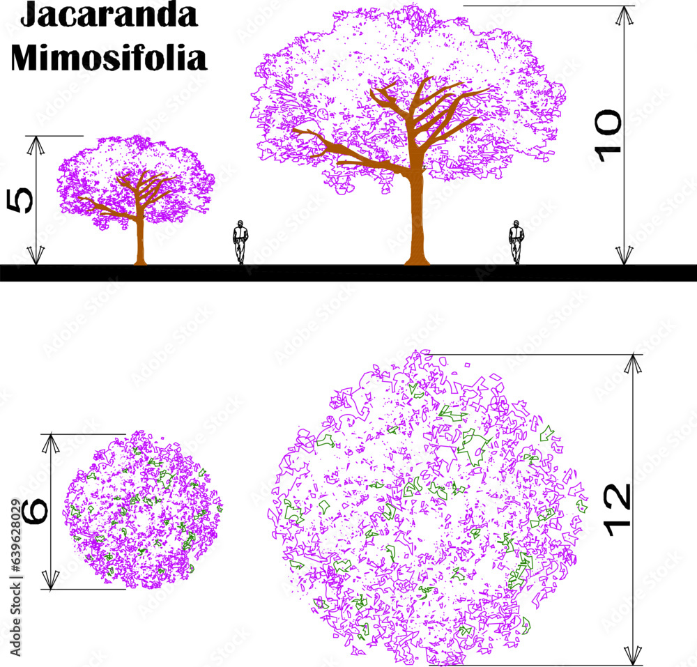 Vector sketch illustration of detailed floor plan and view of tree and ...