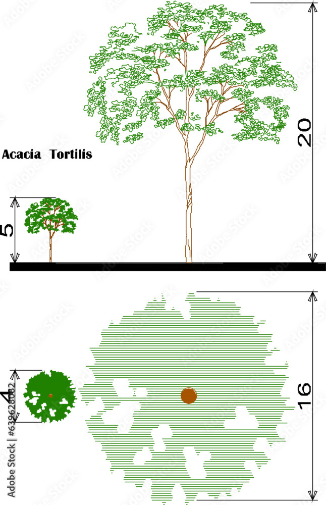 Vector sketch illustration of detailed floor plan and view of types of ...