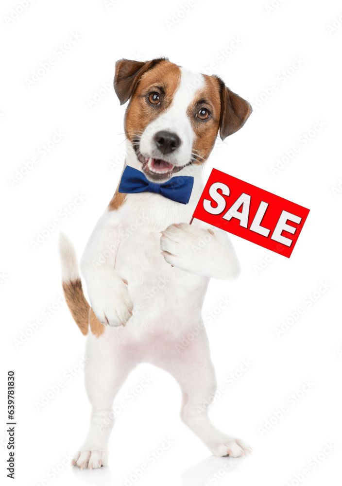 Jack russell terrier puppy holds sales symbol in it paw. isolated on ...