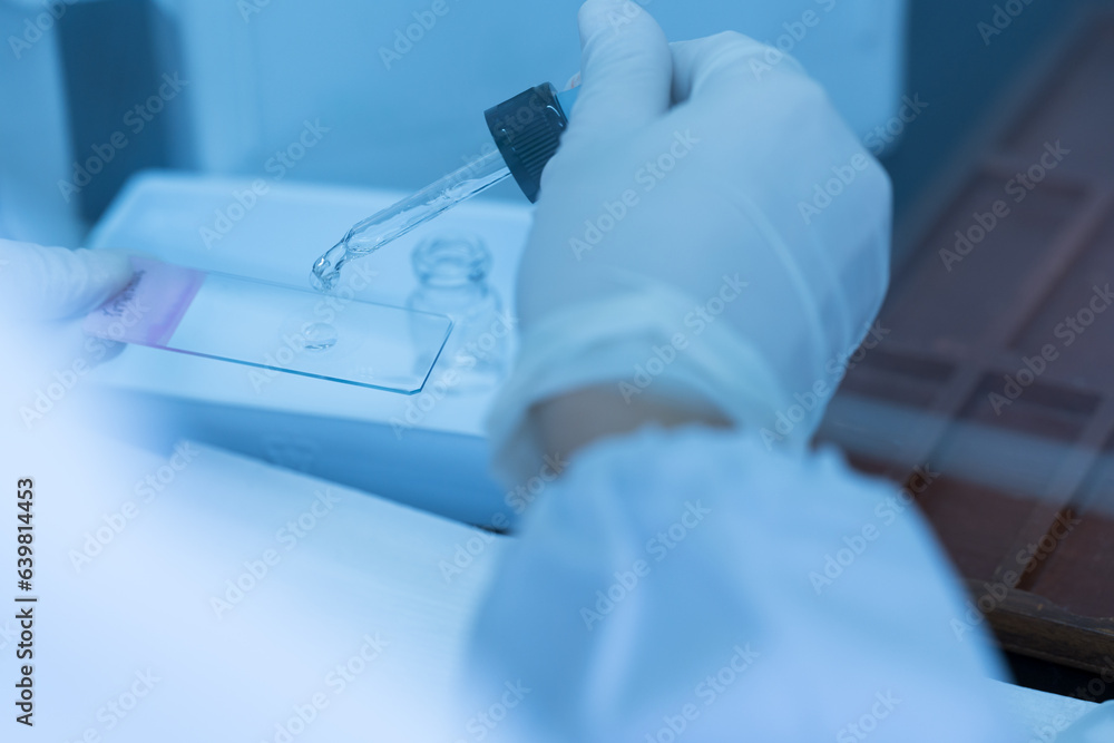 Scientist hands wearing white gloves take microscopic slide for ...