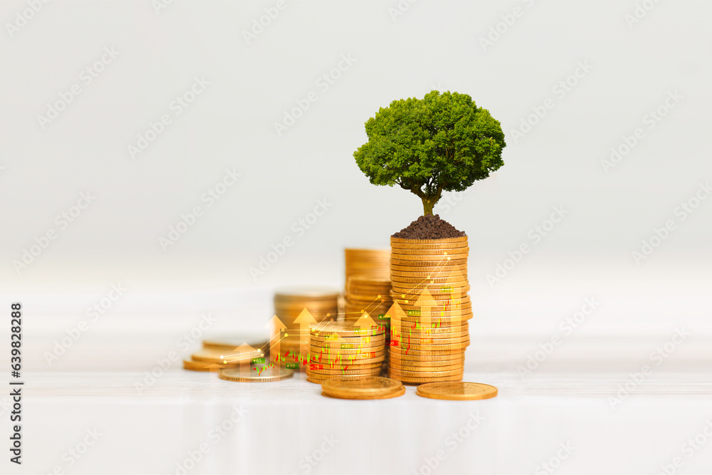 invest concept. Green tree growing on gold coins. Growing power of ...