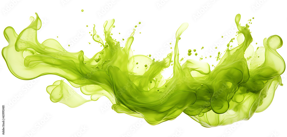 Algae isolated on transparent background. Algae png Stock Illustration ...