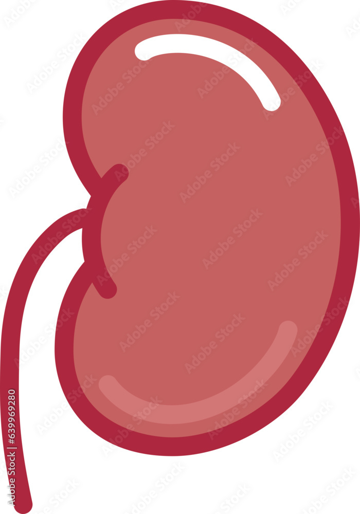 Human kidney cartoon icon. Internal organ hand drawn doodle ...