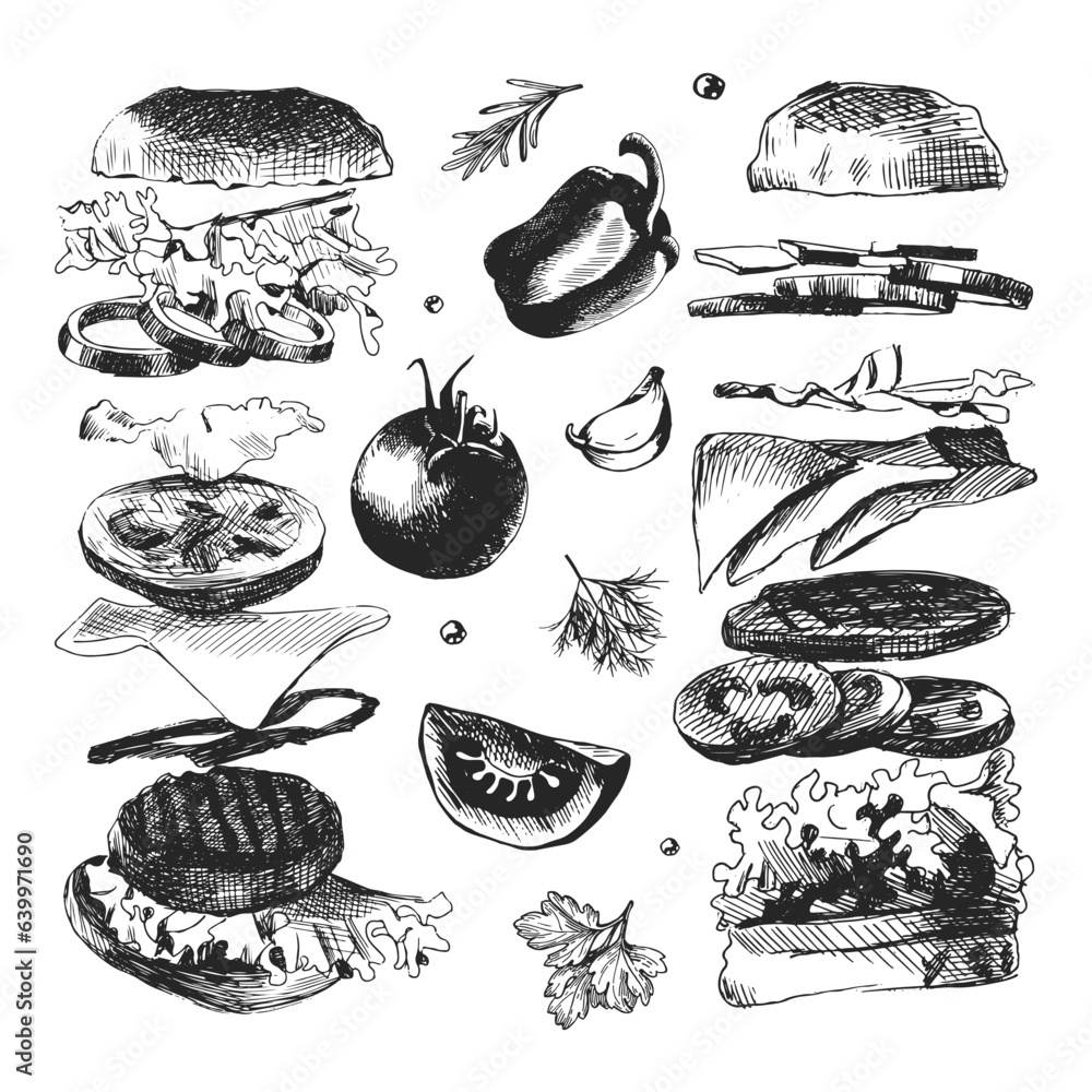 Burgers parts. Hand drawn Fast food. Vector sketch icons of hamburgers ...