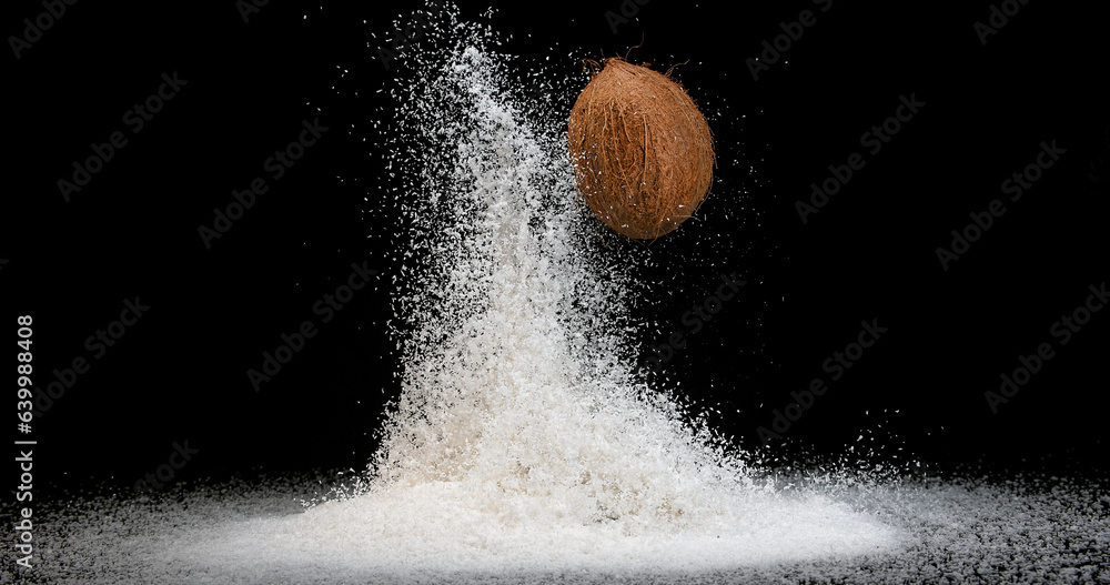 Coconut, cocos nucifera, Fruit and Powder Exploding against Black ...