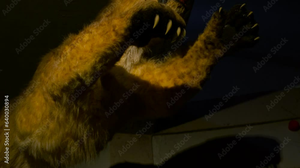 Saber-toothed tiger. Bottom view of a mock-up of a saber-toothed tiger ...