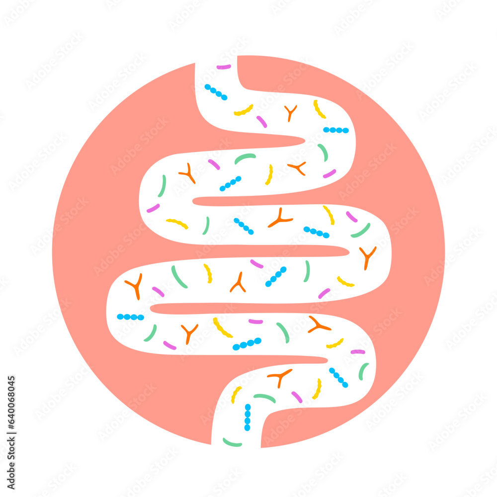 Gut microbiome concept. Human intestine microbiota with healthy ...