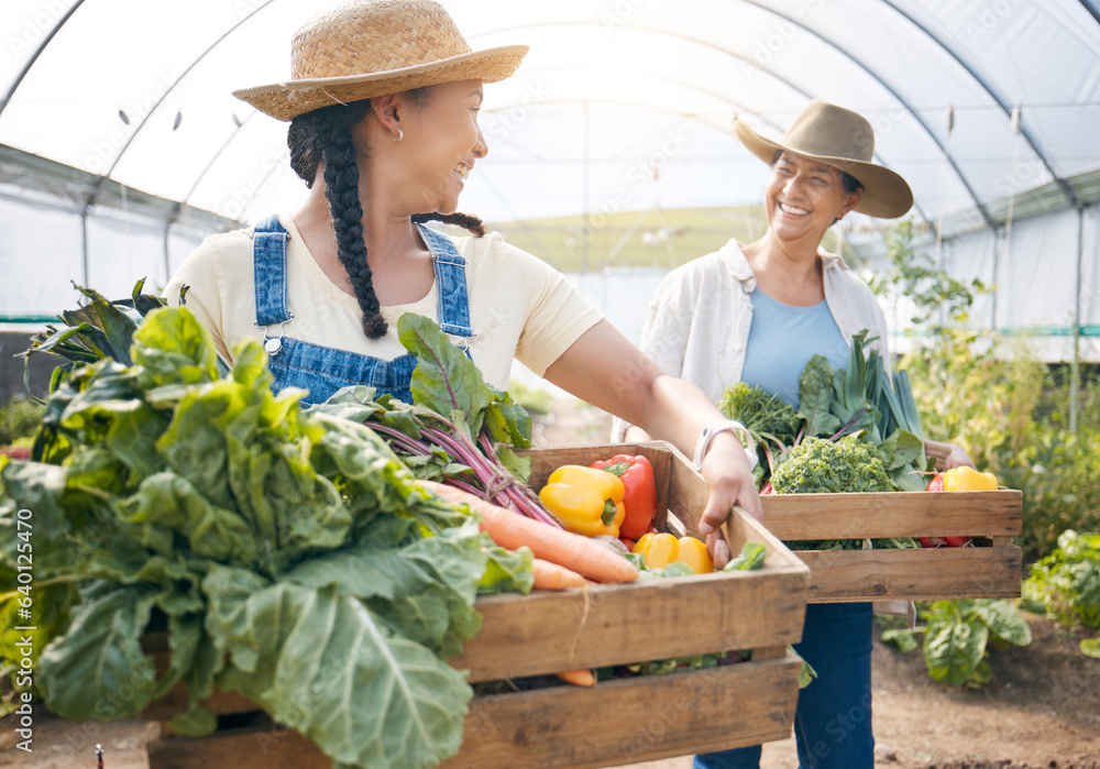 Teamwork, agriculture and vegetable farming in a greenhouse for harvest ...