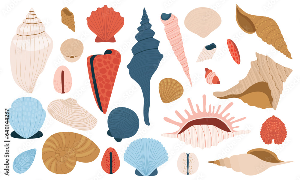 Sea shells. Cartoon colorful marine shells, nautical marine shellfish ...