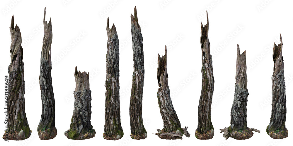 Set of Dead tree stump or Old tree trunk with isolated on transparent ...