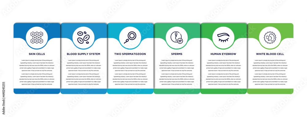 skin cells, blood supply system, two spermatozoon, sperms, human ...