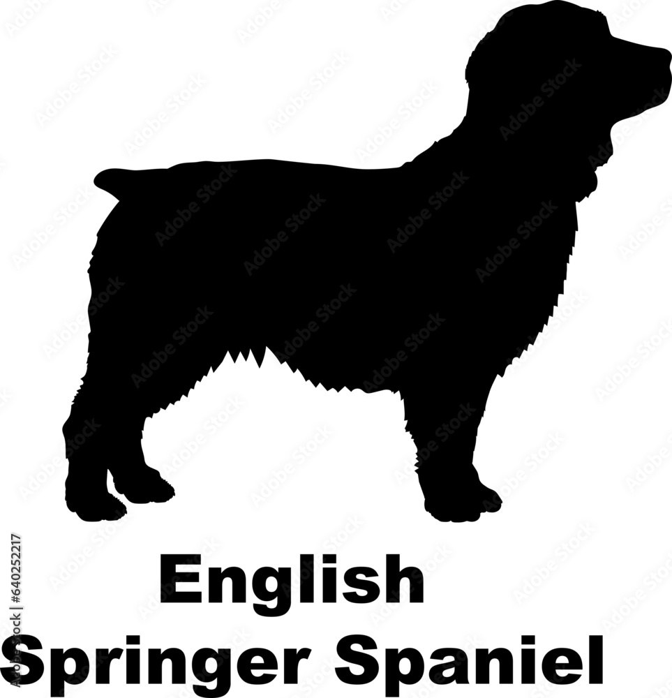 English Springer Spaniel dog silhouette dog breeds Animals Pet breeds ...