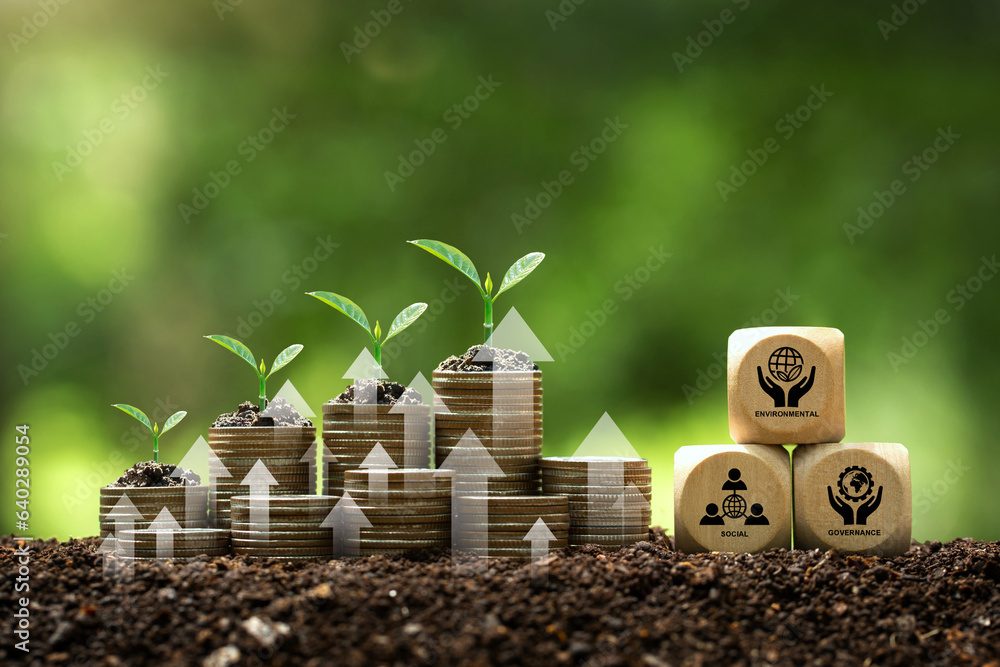 ESG environmental social governance investment business concept ...