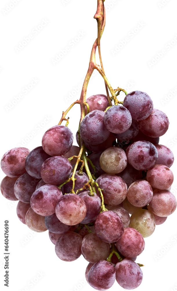 uvas, uvas moradas, uva roja, frutas, uva rosada, racimo de uvas Stock ...