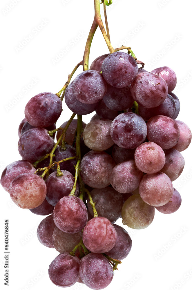 uvas, uvas moradas, uva roja, frutas, uva rosada, racimo de uvas Stock ...