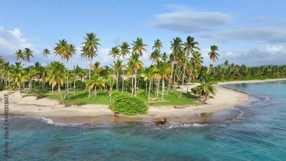 Sunny sea beach of the Dominican Island with bright palm trees ...