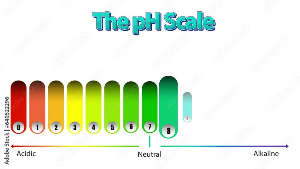 Colorful bar showing pH Scale from Acidic to Neutral and Alkaline with ...