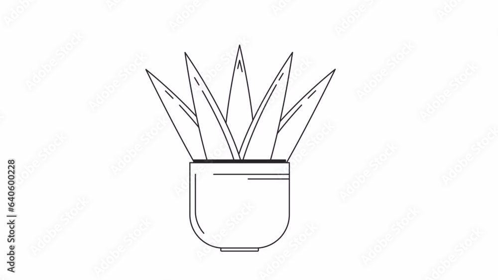 Aloe potted plant bw outline 2D object animation. Indoor potted shrub ...