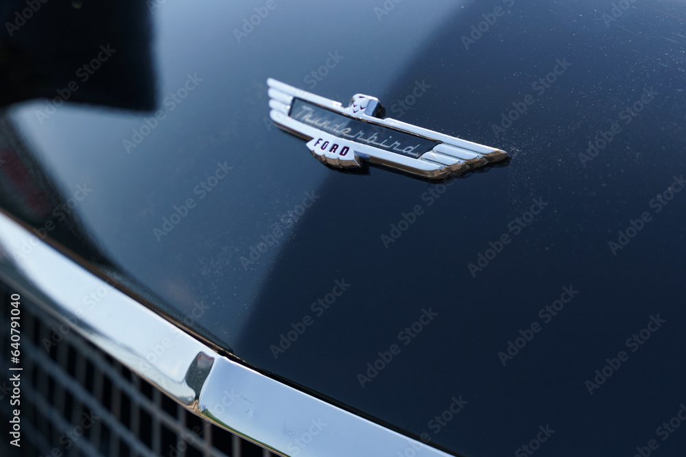 Ford Thunderbird logo on the hood of a car. Stock Photo | Adobe Stock