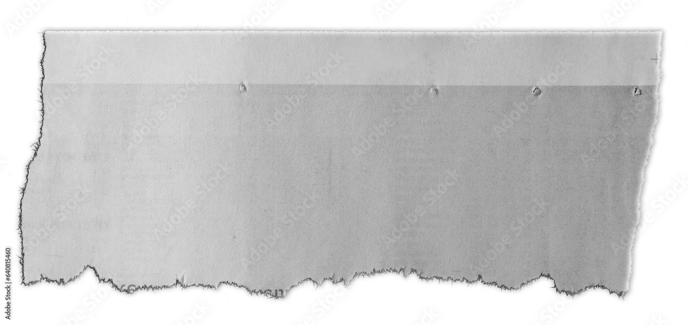 One piece of torn paper isolated on plain background Stock Photo ...