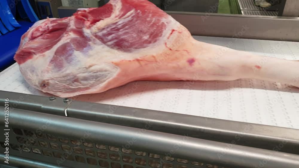Pig's leg on a conveyor in a pig slaughterhouse. Industrial production ...
