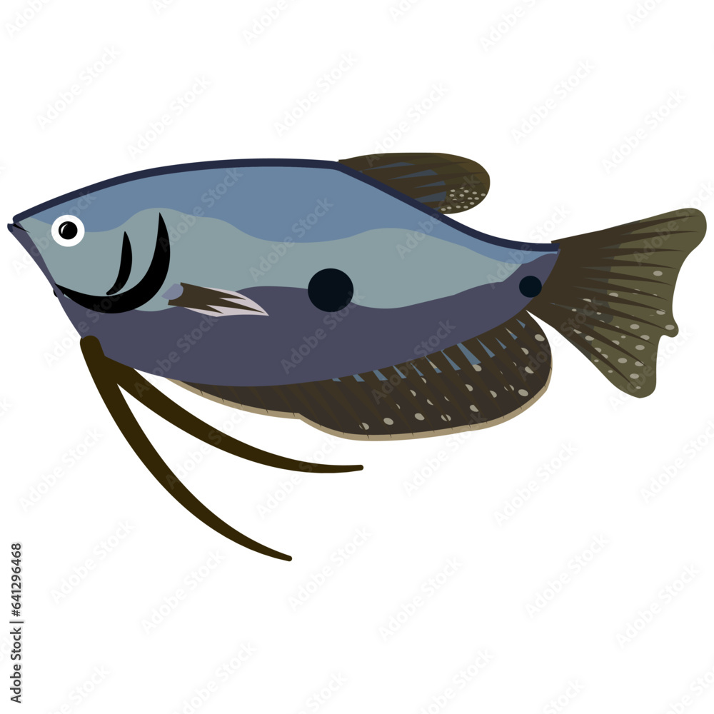 Illustration vector graphic of trichogaster sepat fish on isolated ...