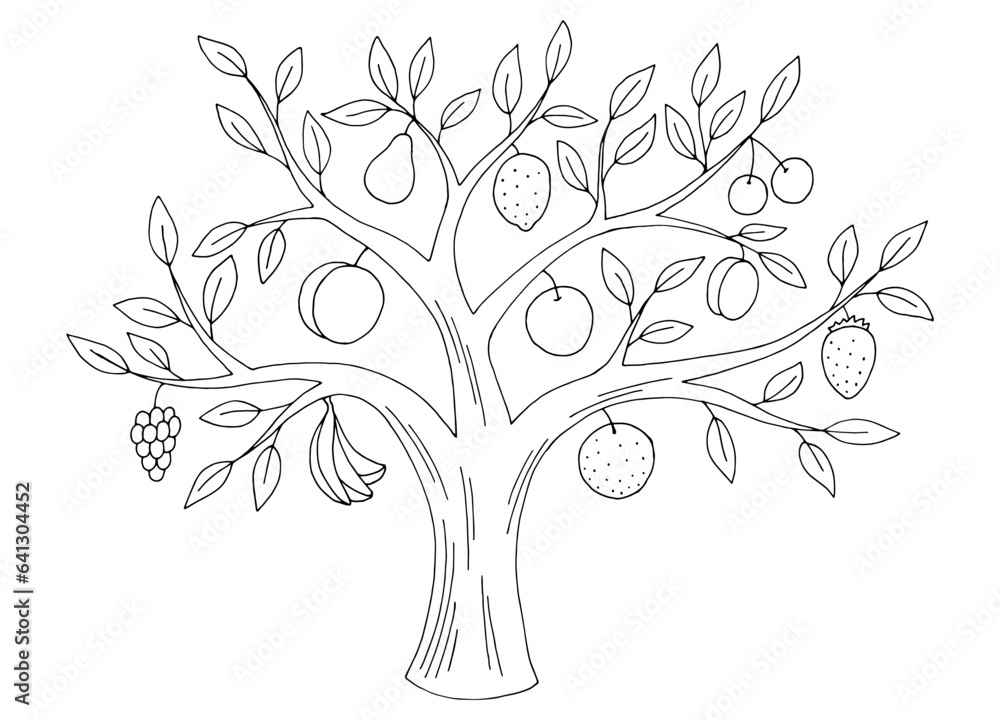 Fruit tree graphic black white isolated sketch illustration vector ...