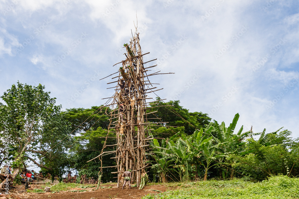 VANUATU, PENTECOST ISLAND: land diving ceremony, called Naghol or Gol ...