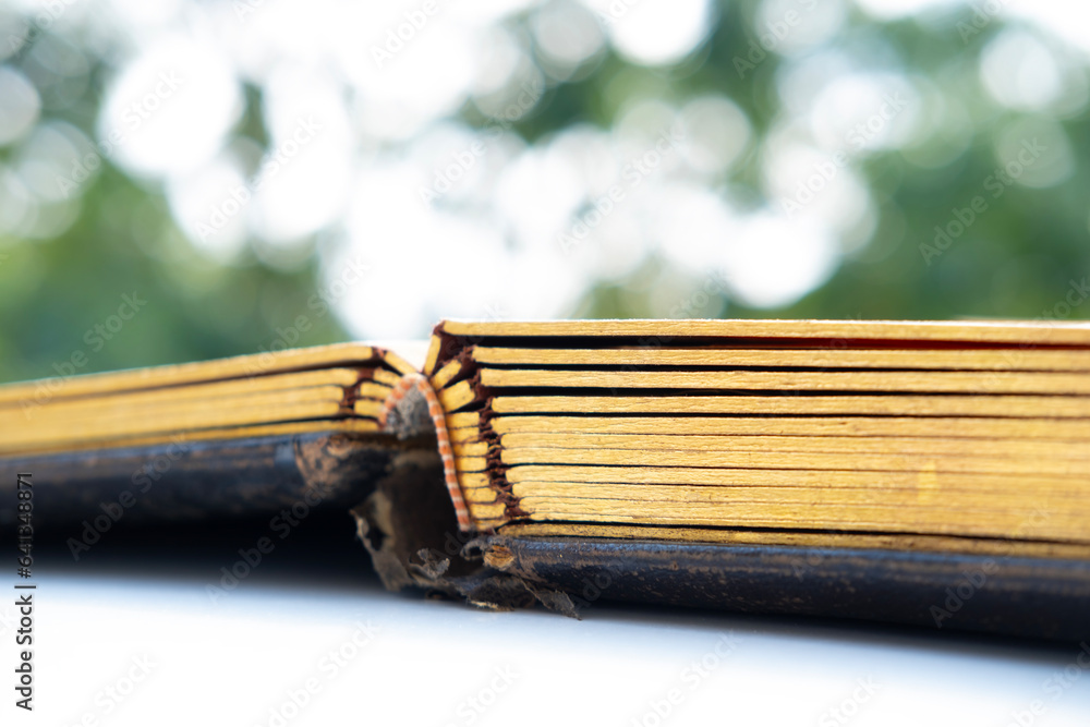 thick old book pages, vintage book, antique album, old family ...