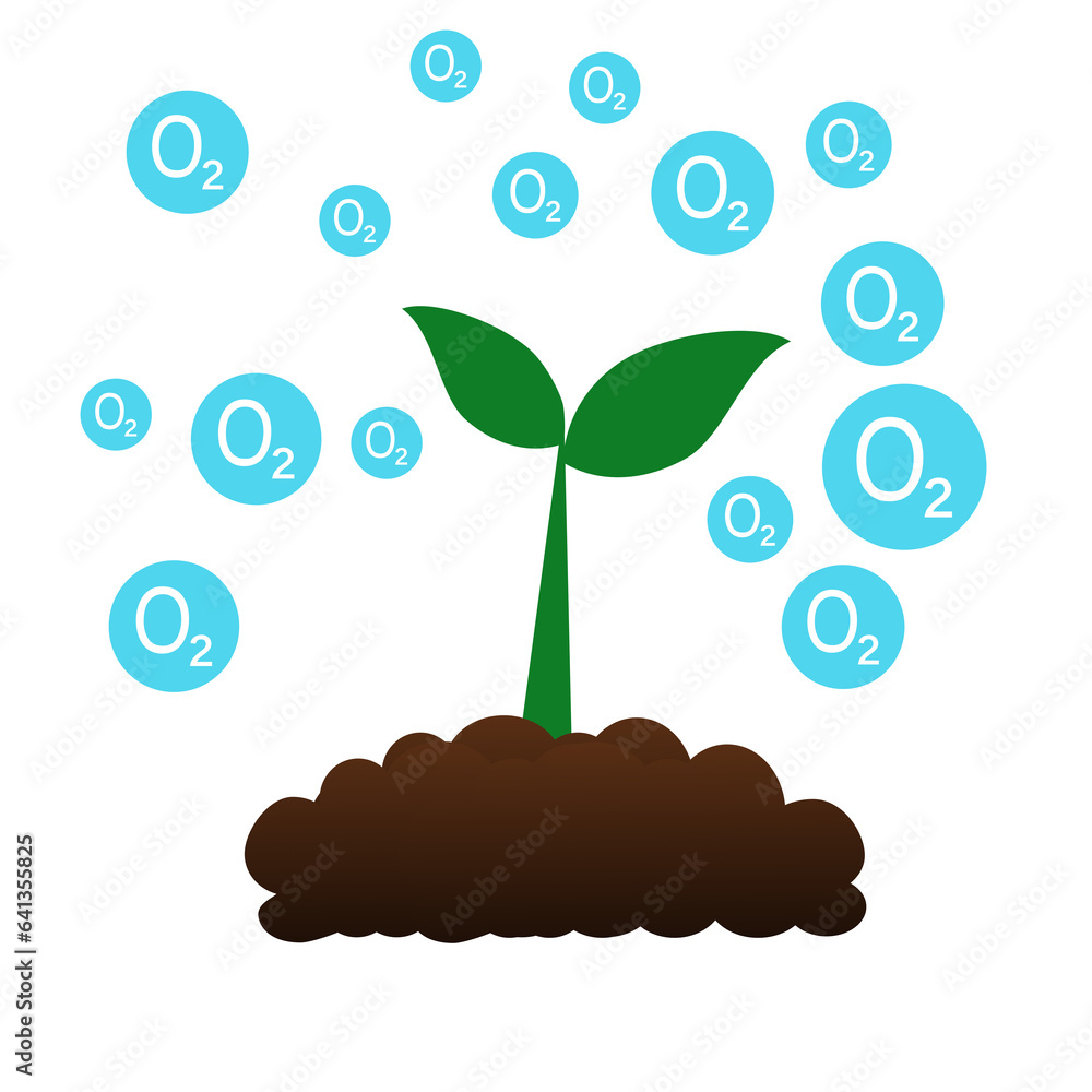 Seedling with leaf green grows from seed in soil. Tree photosynthesis ...