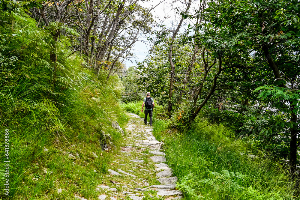 Cardada, Wanderweg, Wanderer, Wald, Lärchenwald, Cortaccio, Orselina ...
