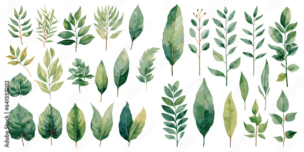 watercolor green leaves clipart for graphic resources Stock Vector ...