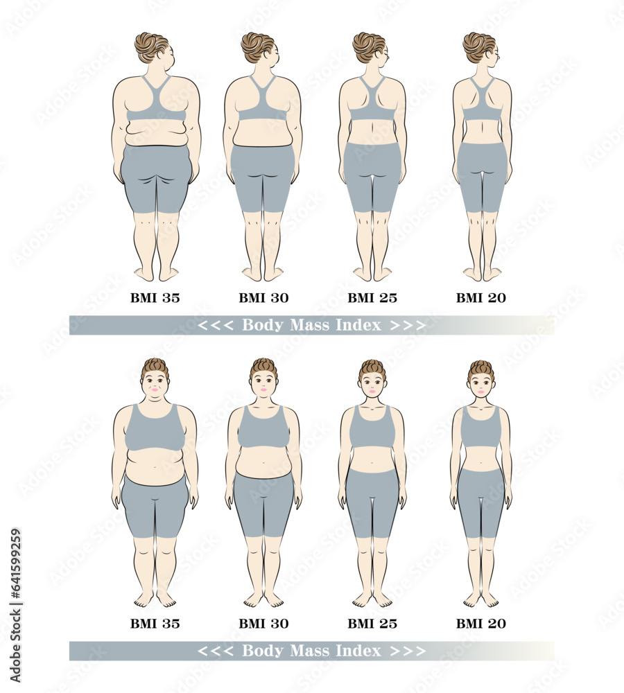 BMI ボディマスインデックス 若い女性の体形変化 ダイエットのビフォーアフター イラスト BMI Body Mass Index. Body ...