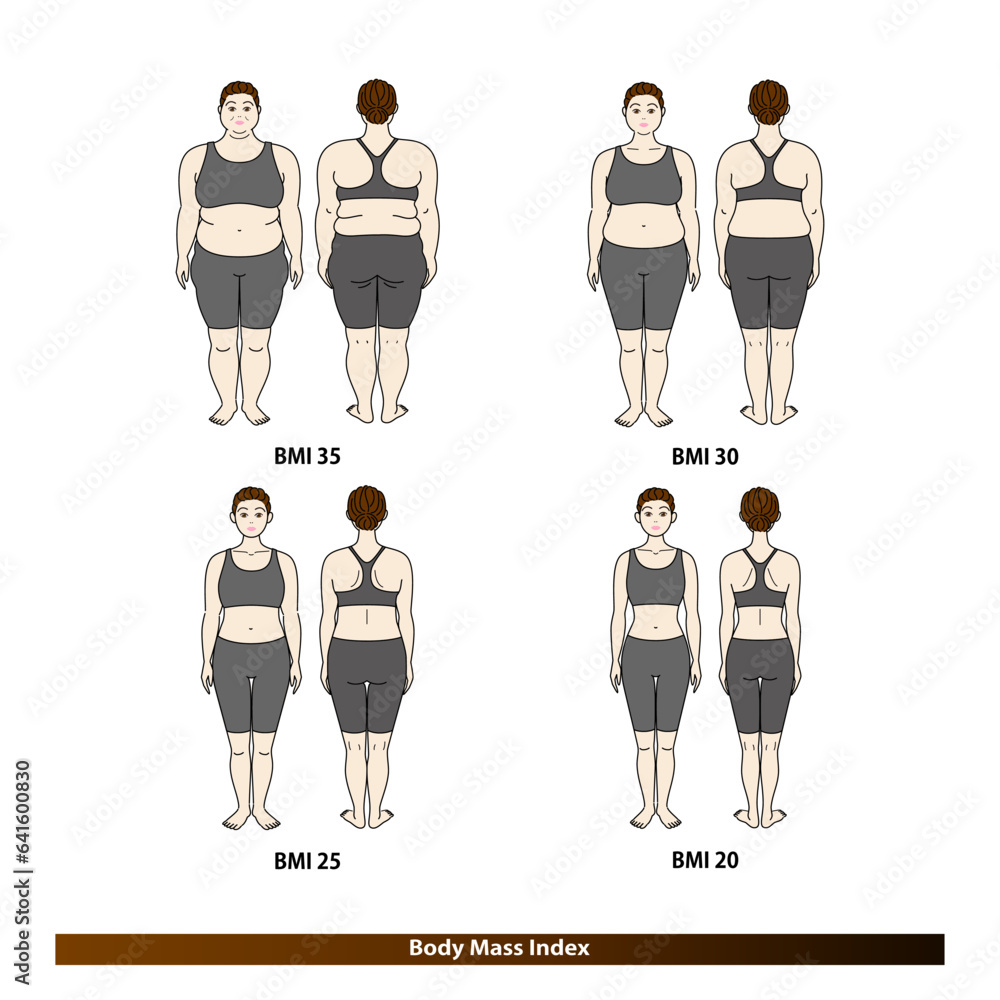 BMI ボディマスインデックス 中高年女性の体形変化 ダイエットのビフォーアフター イラスト BMI Body Mass Index ...
