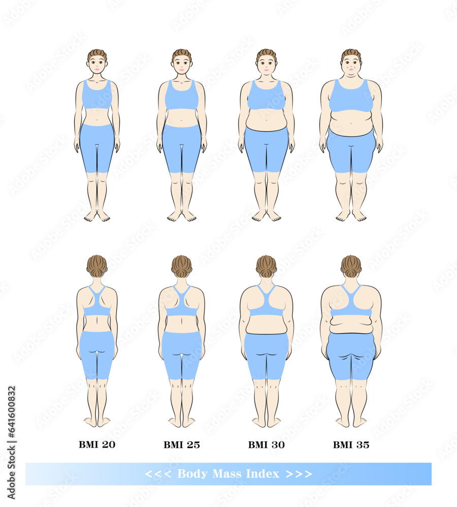 BMI ボディマスインデックス 中高年女性の体形変化 ダイエットのビフォーアフター イラスト BMI Body Mass Index ...