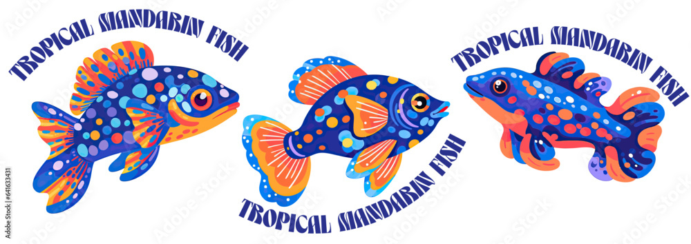Cute tropical mandarin fish. Mandarin fish isolated on a white ...