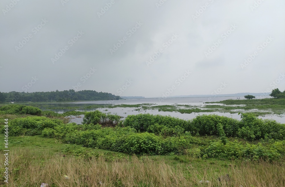 Sareswar Beel is a shallow freshwater lake with abundant aquatic ...