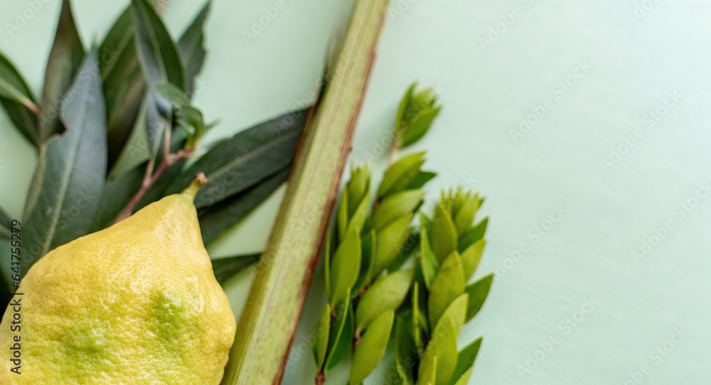 Jewish fall festival of Sukkot. Traditional symbols. The four species ...