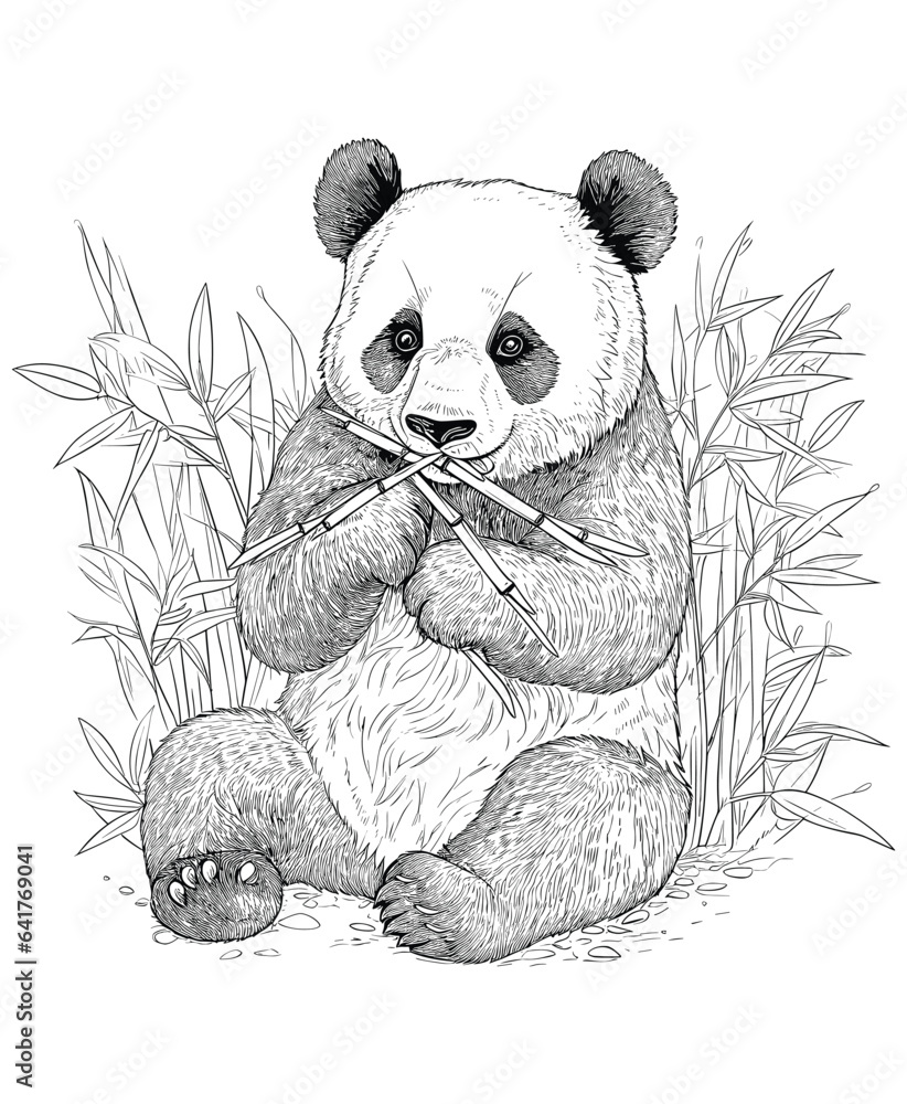 Panda bamboo coloring page line art Stock Vector | Adobe Stock