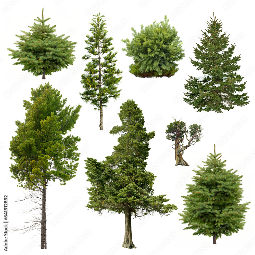 Cutout pine tree. Set of fir and coniferous trees isolated on ...