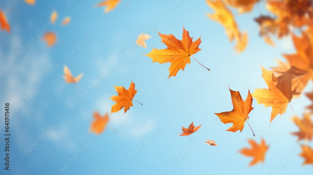 Fallen leaves falling from trees background sky. Falling autumn beech ...