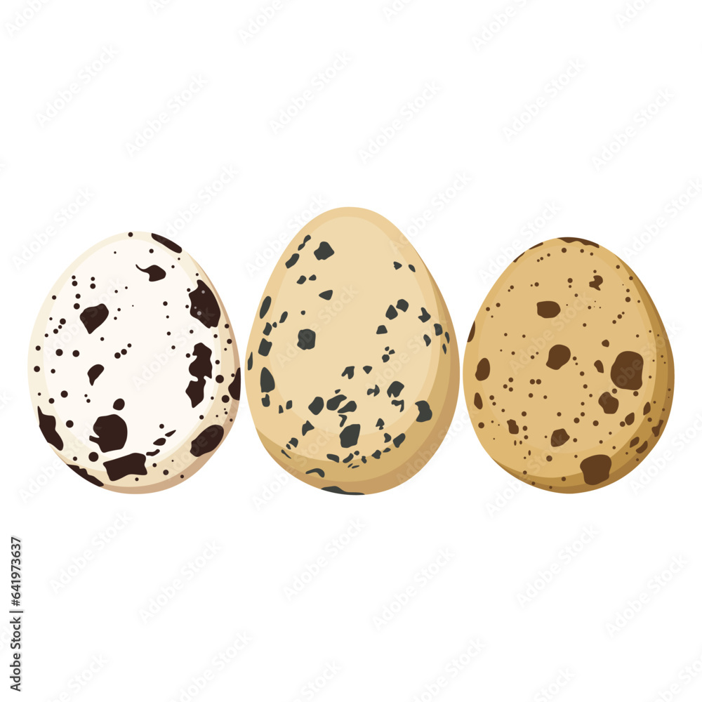 Vector illustration single and set of quail eggs in different forms raw ...
