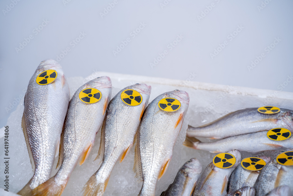 Radioactively contaminated fish. nuclear electric power waste water ...