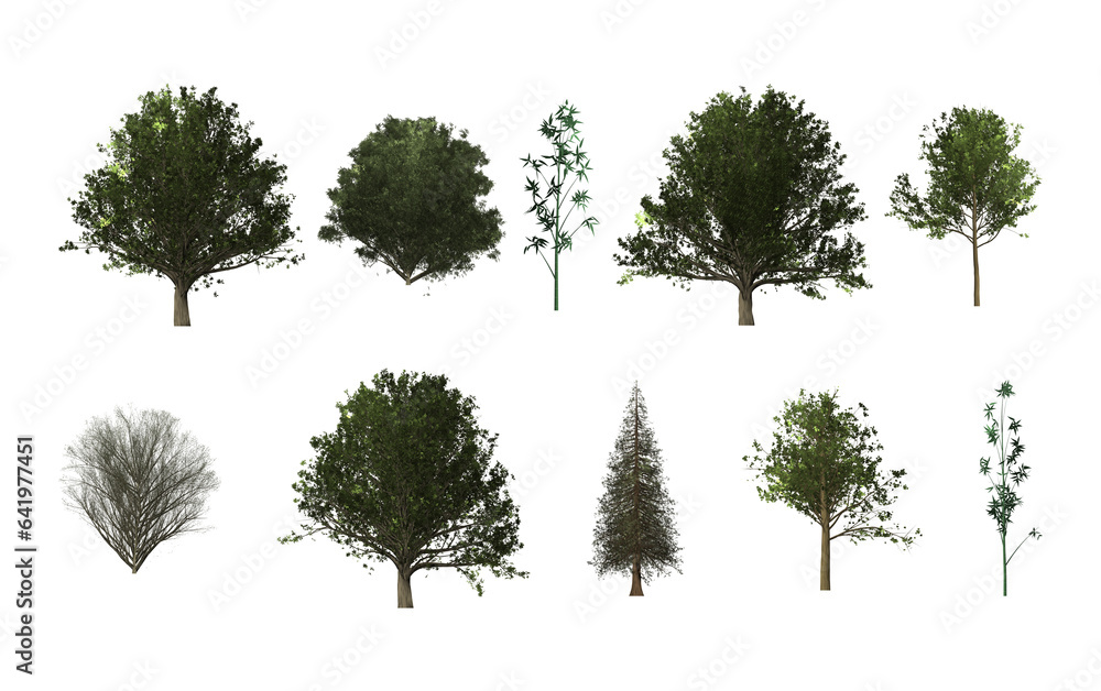 Realistic side view trees, shrub, bamboo Stock Illustration | Adobe Stock